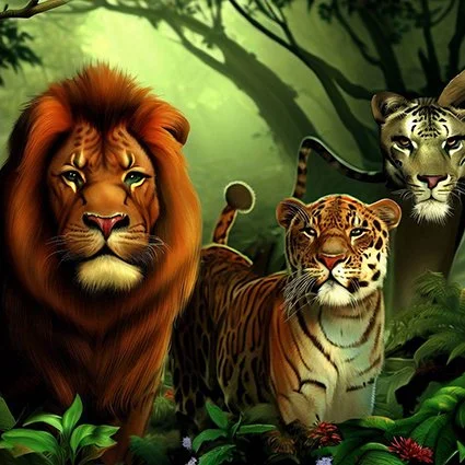 40 Facts about Big Cats — GripRoom