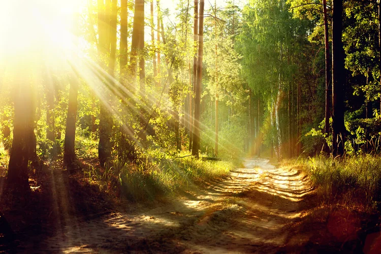 Relaxing Photos of Nature to Look at and Feel Relaxed, Okay? — GripRoom