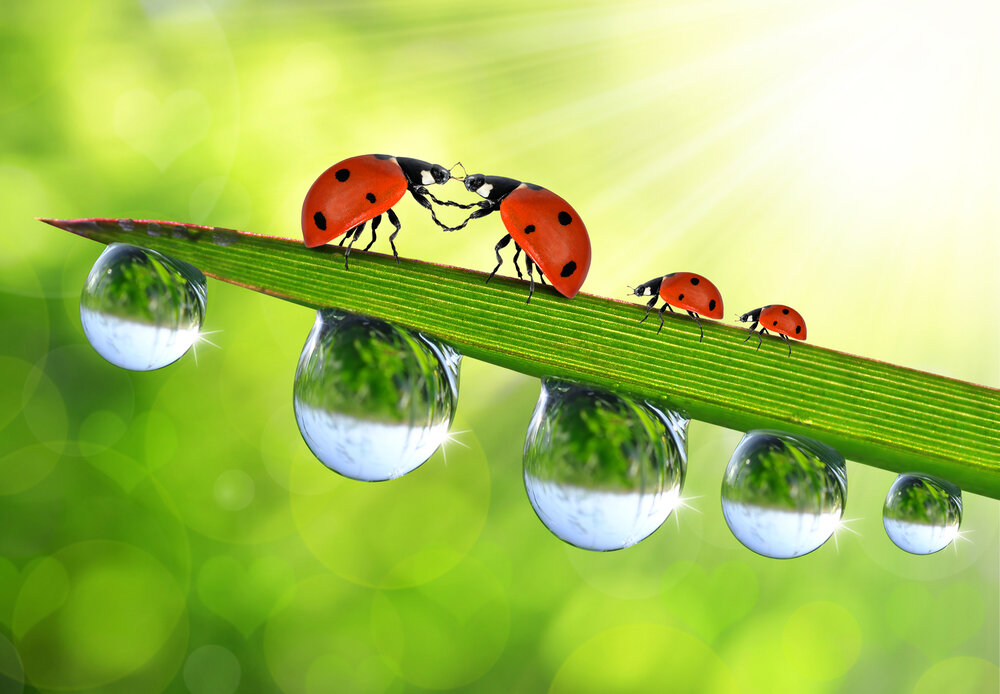 Relaxing Photos of Nature to Look at and Feel Relaxed, Okay? — GripRoom