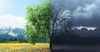The Environmental Impact of War and Armed Conflict — Change The Chamber
