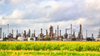 Environmental Racism in Cancer Alley: Dying for Action — Change The Chamber