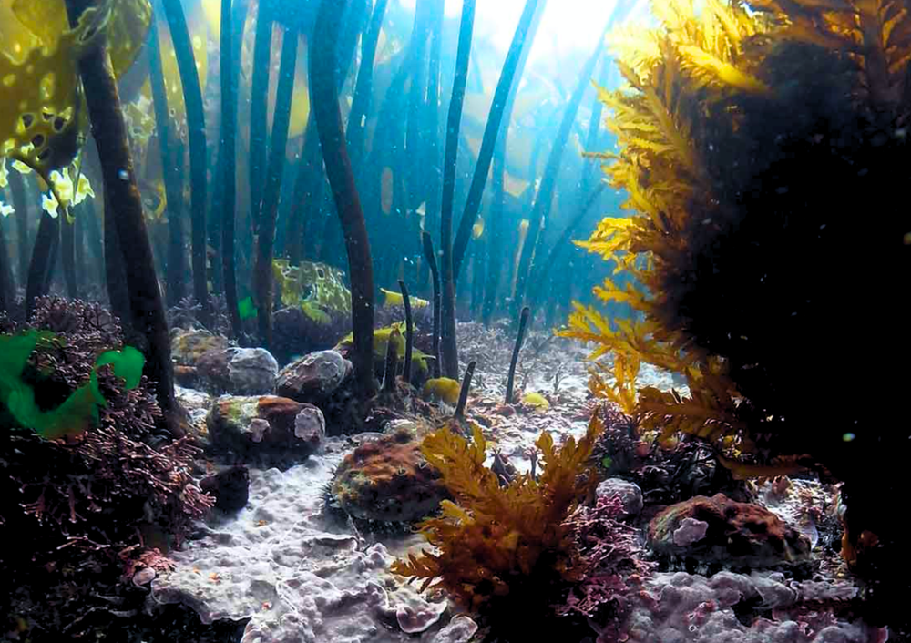 News + Research — Change The Chamber