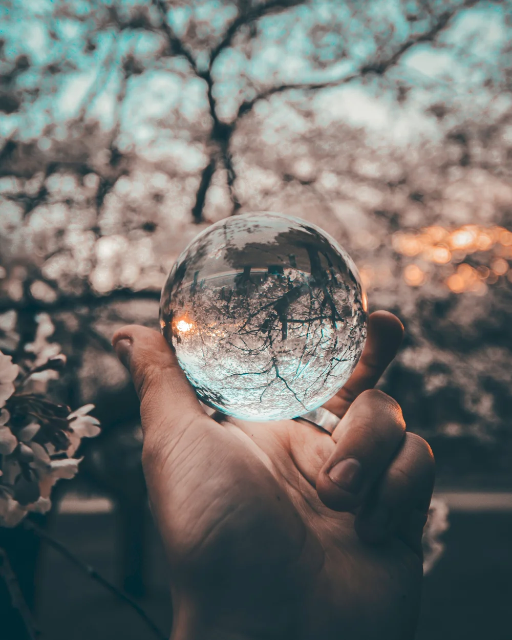 Mirror Work- A Tool for Inner Work How to Practice Mirror Work (5 Step ...