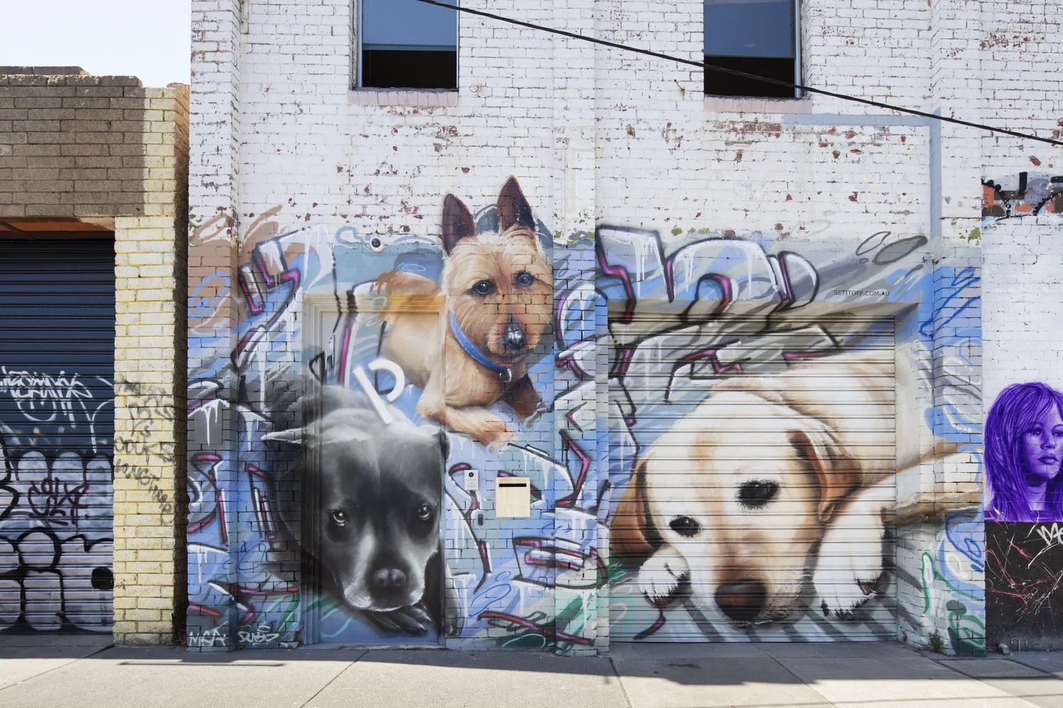 Coppin Street Studio — Pitch Architecture + Design