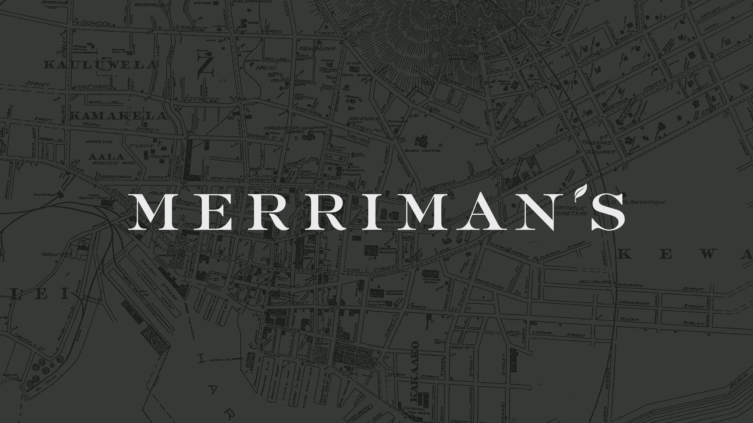 Merriman's — Welcome Stranger