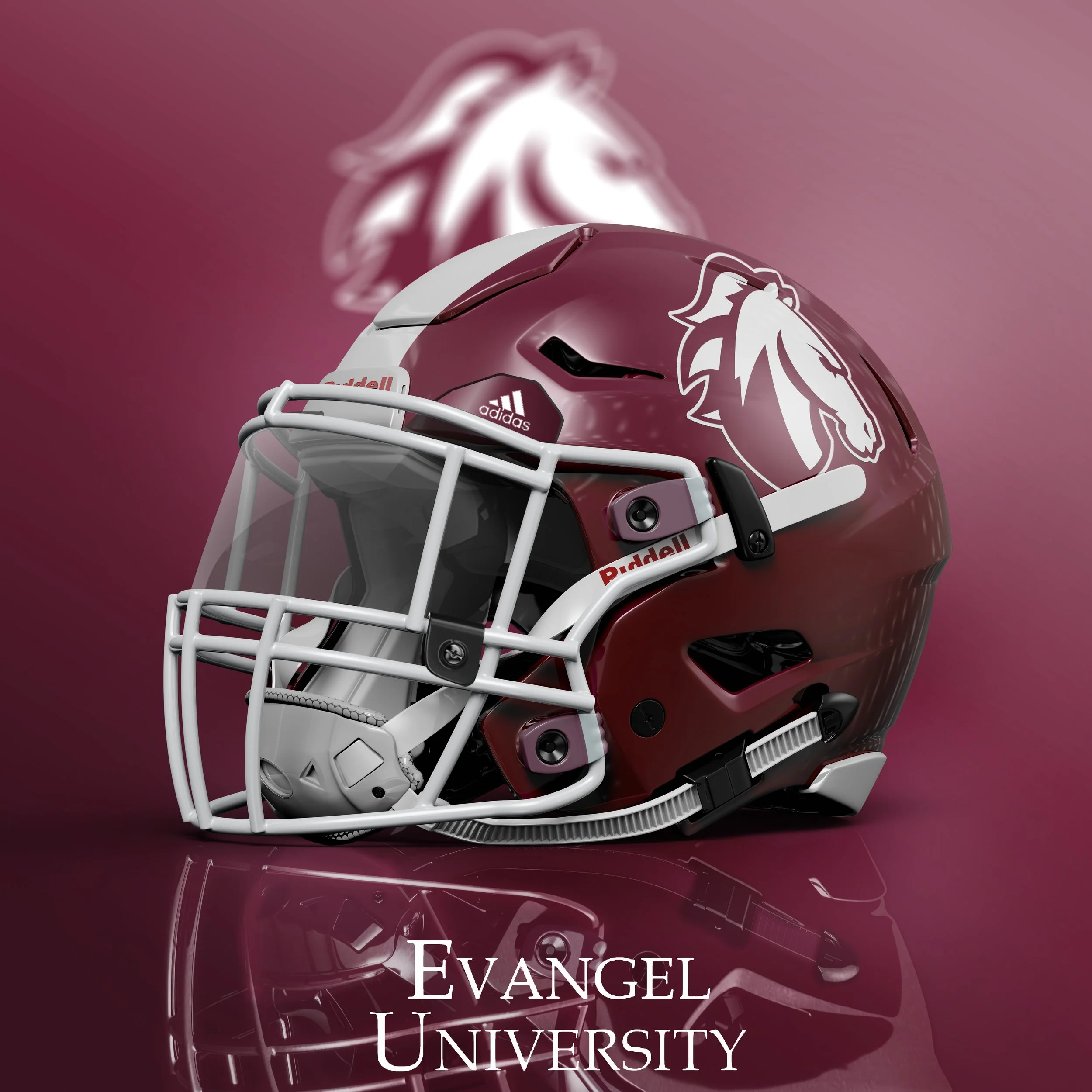 Colleges/Universities — Missouri Helmet Project