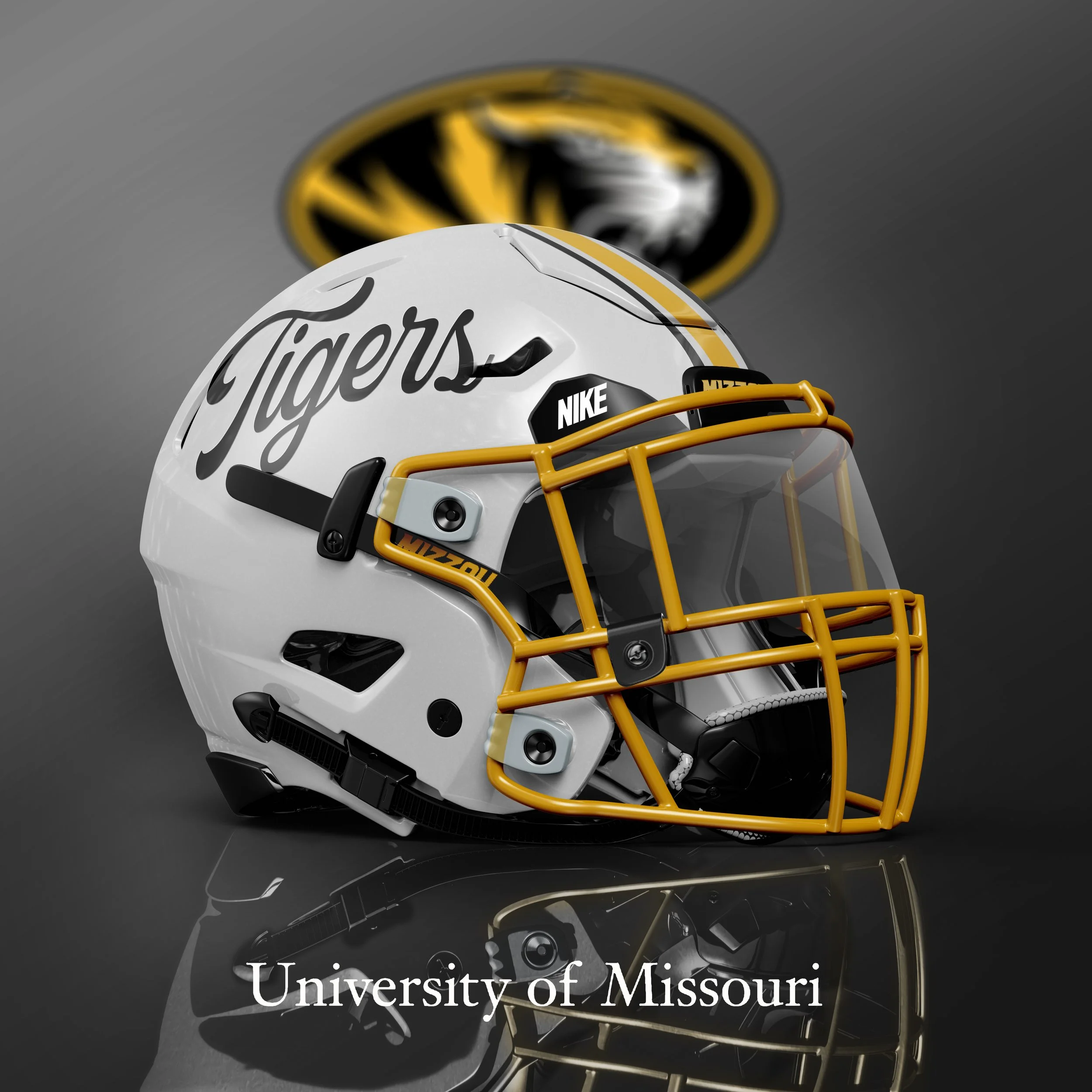 Colleges/Universities — Missouri Helmet Project