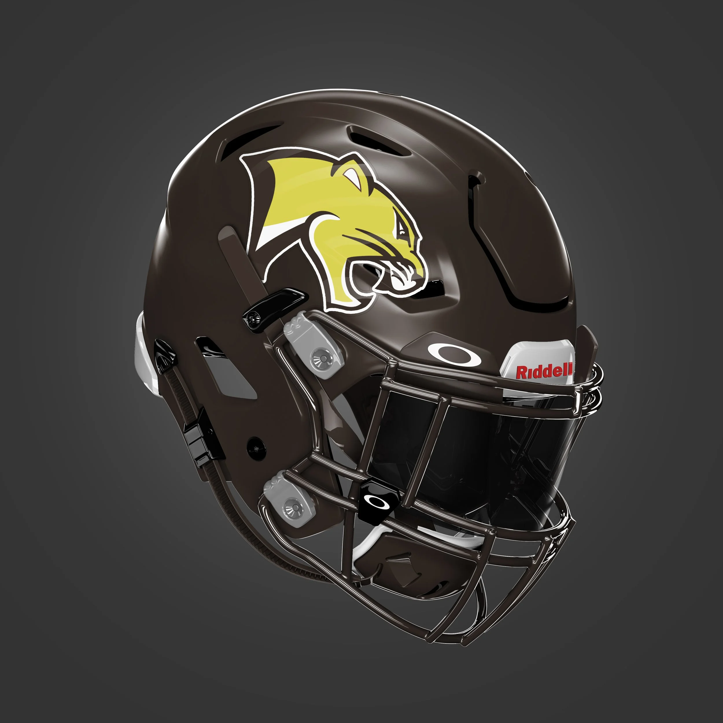 Current Helmets — Missouri Helmet Project