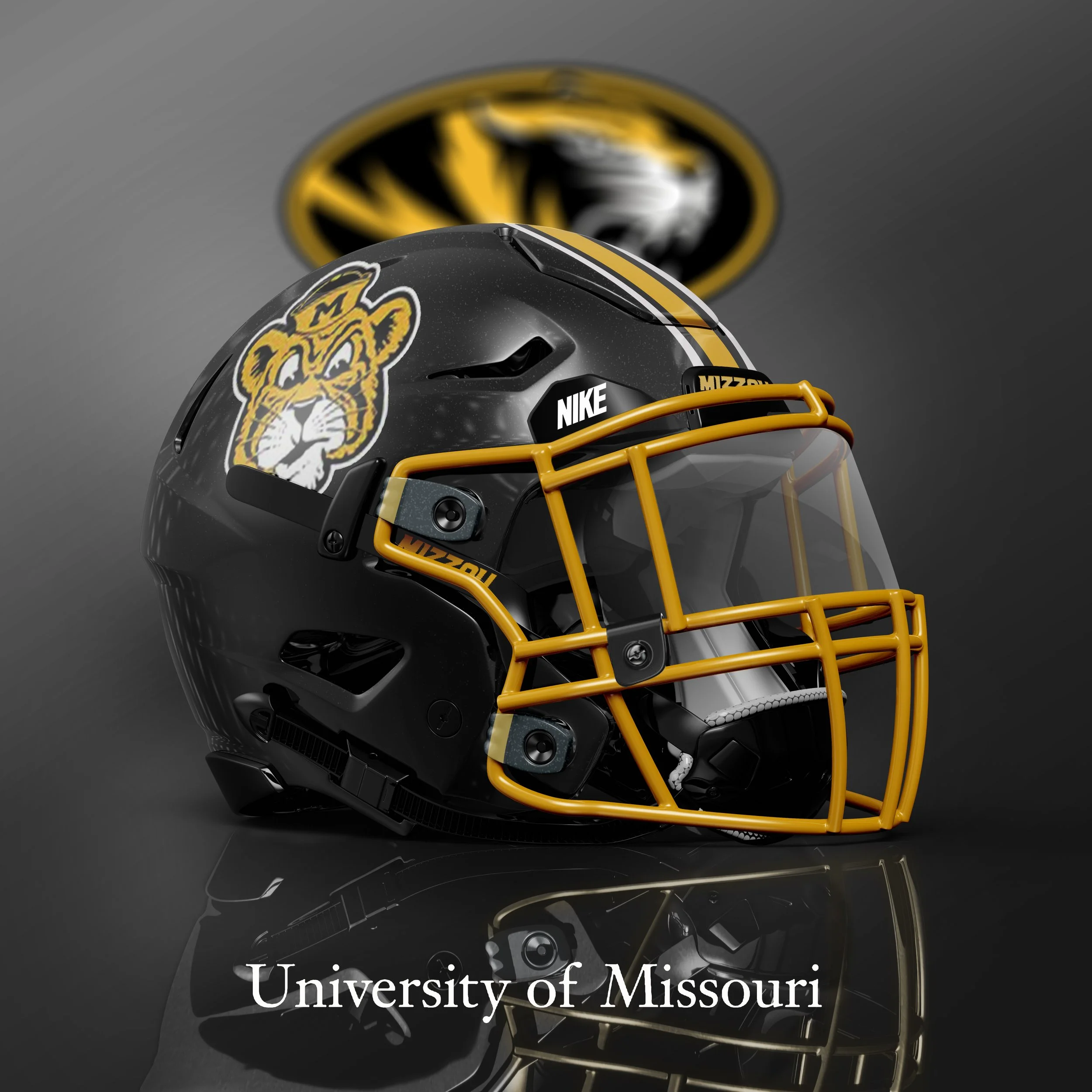 Colleges/Universities — Missouri Helmet Project