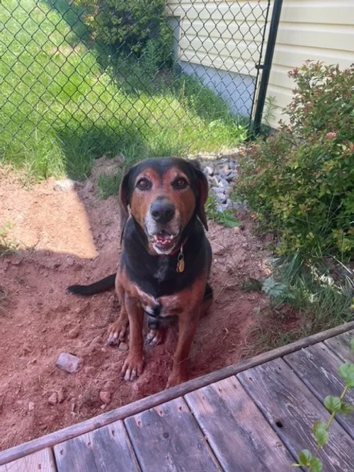 Second Act Success: An Interview with Sarah Manley Robertson — ReSuit