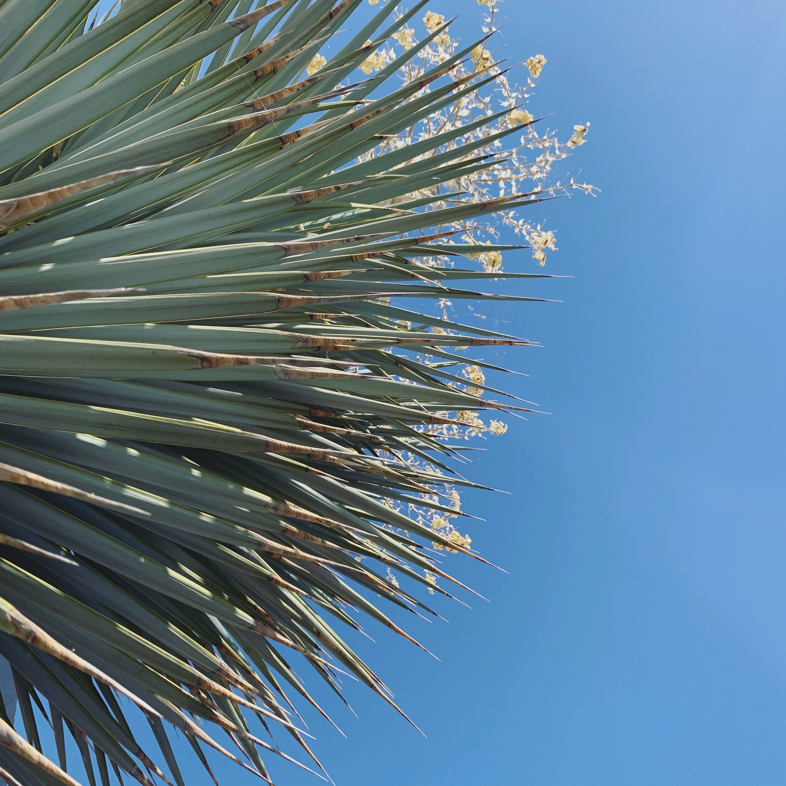 the design laboratory