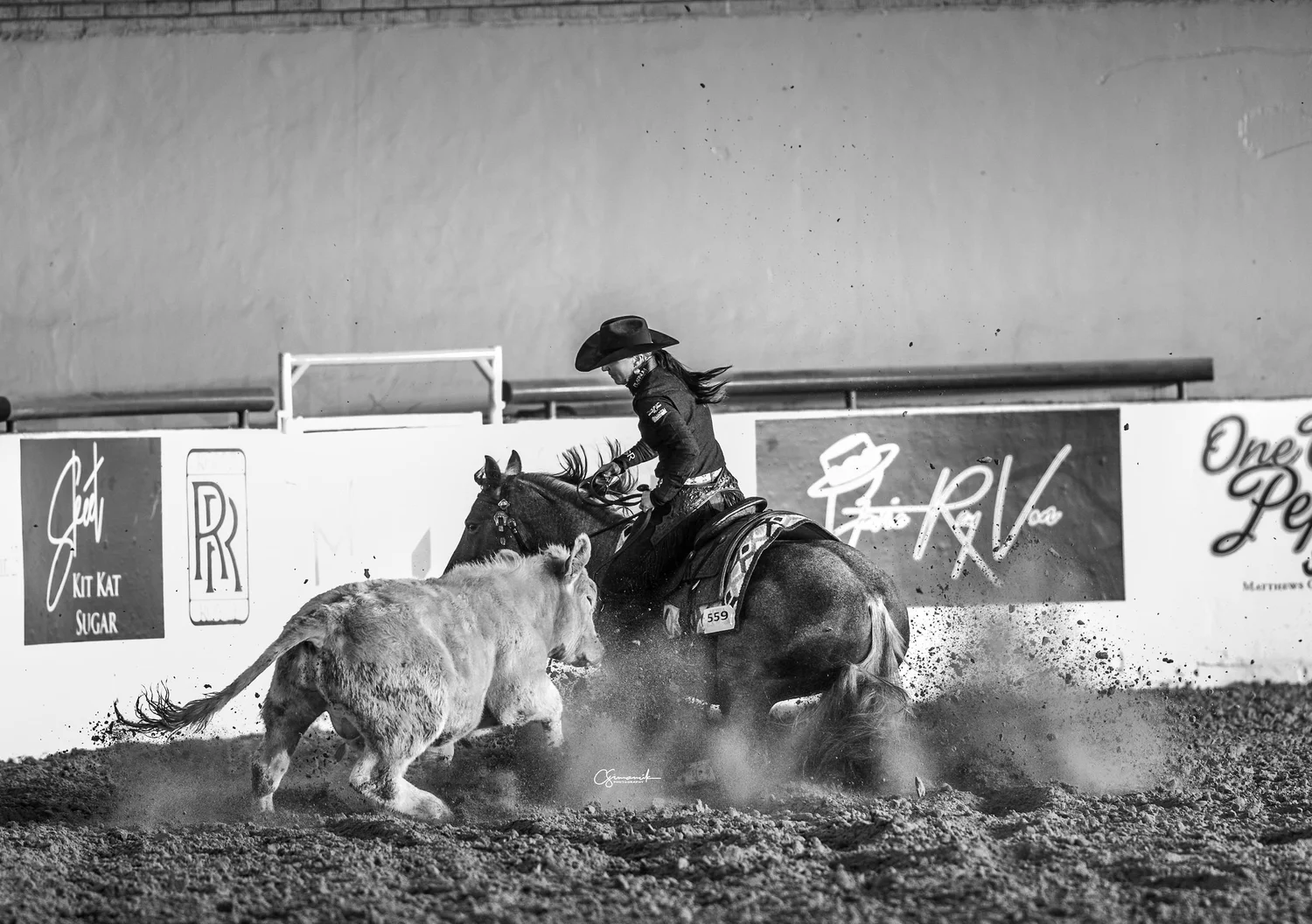 Taormino Performance Horses