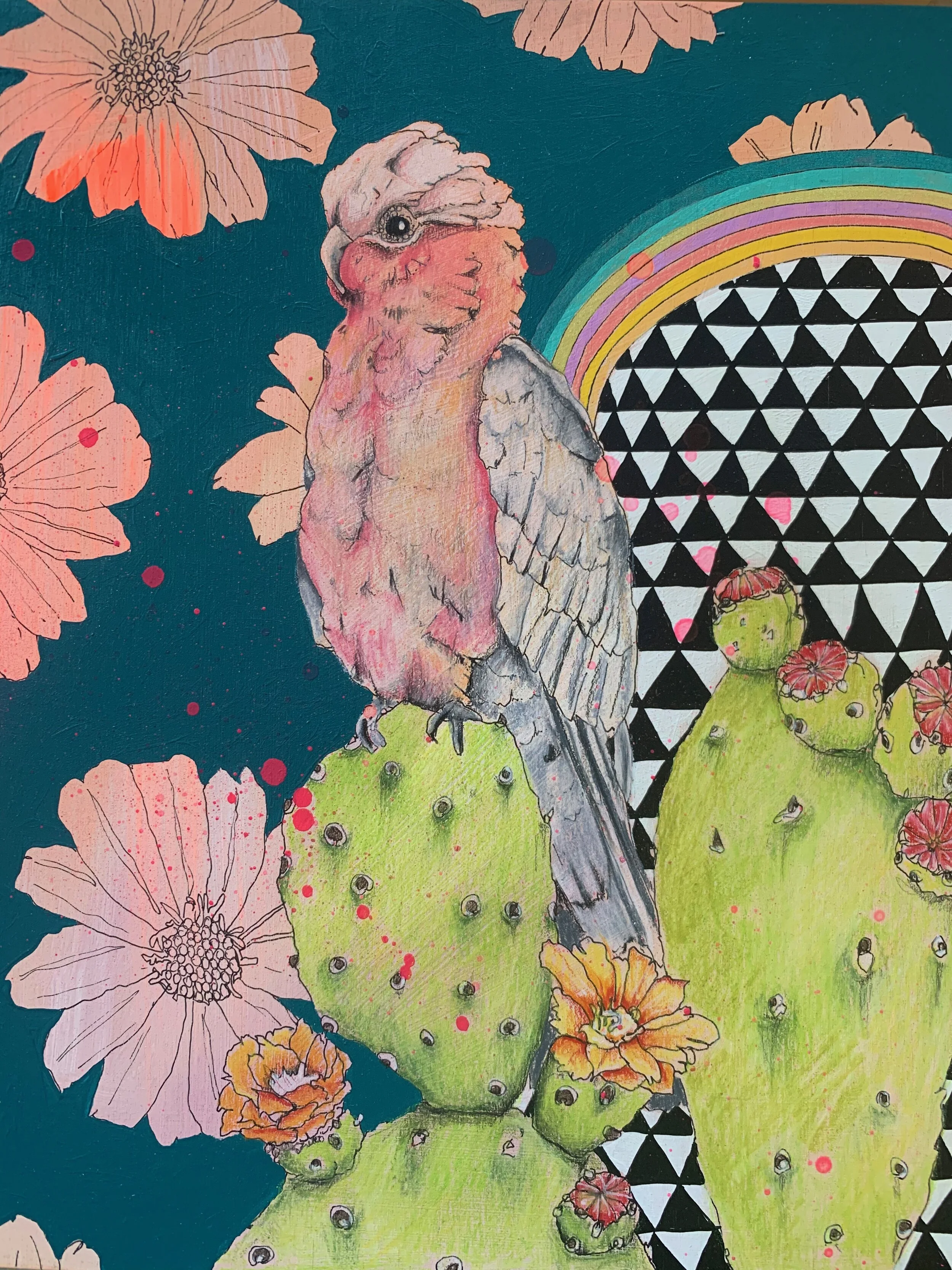 Gallery 3 — Carley Cornelissen