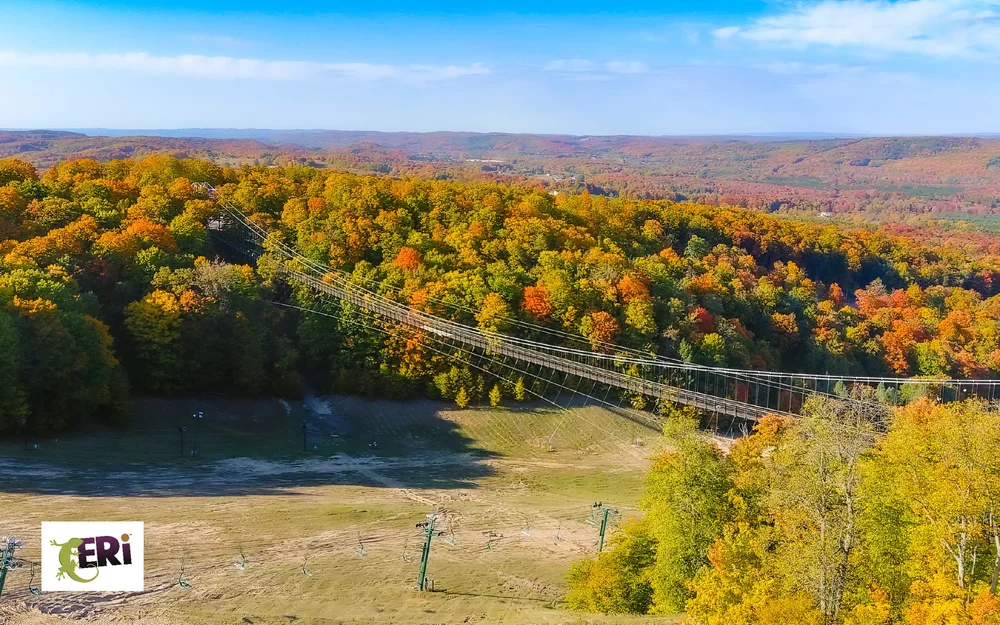 Designed and built by ERi...SkyBridge MI: the world's longest timber ...