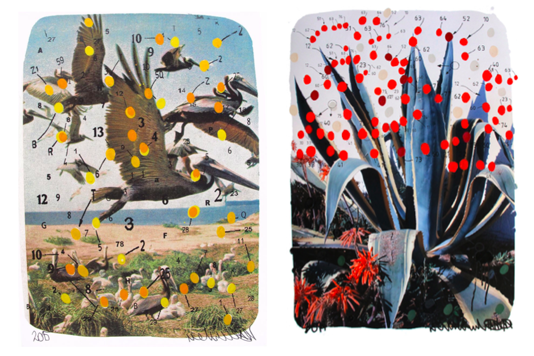 Tan Vargas — VF projects