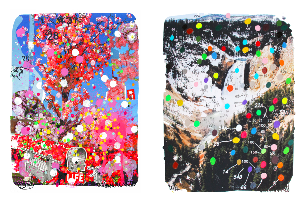 Tan Vargas — VF projects