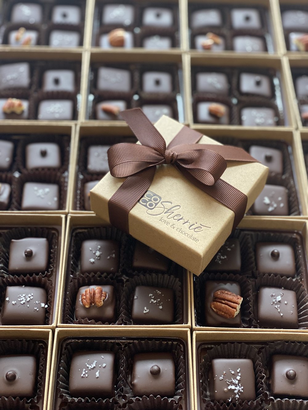 Coco Sherrie'Coco Sherrie’ Chocolate