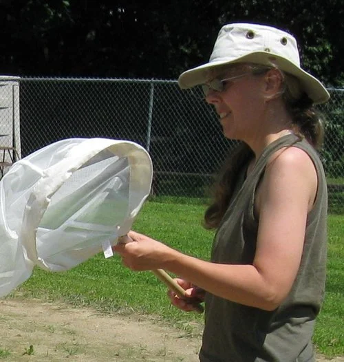 MES Webinar Series: Insects are our Allies: Biological Control in Maine ...