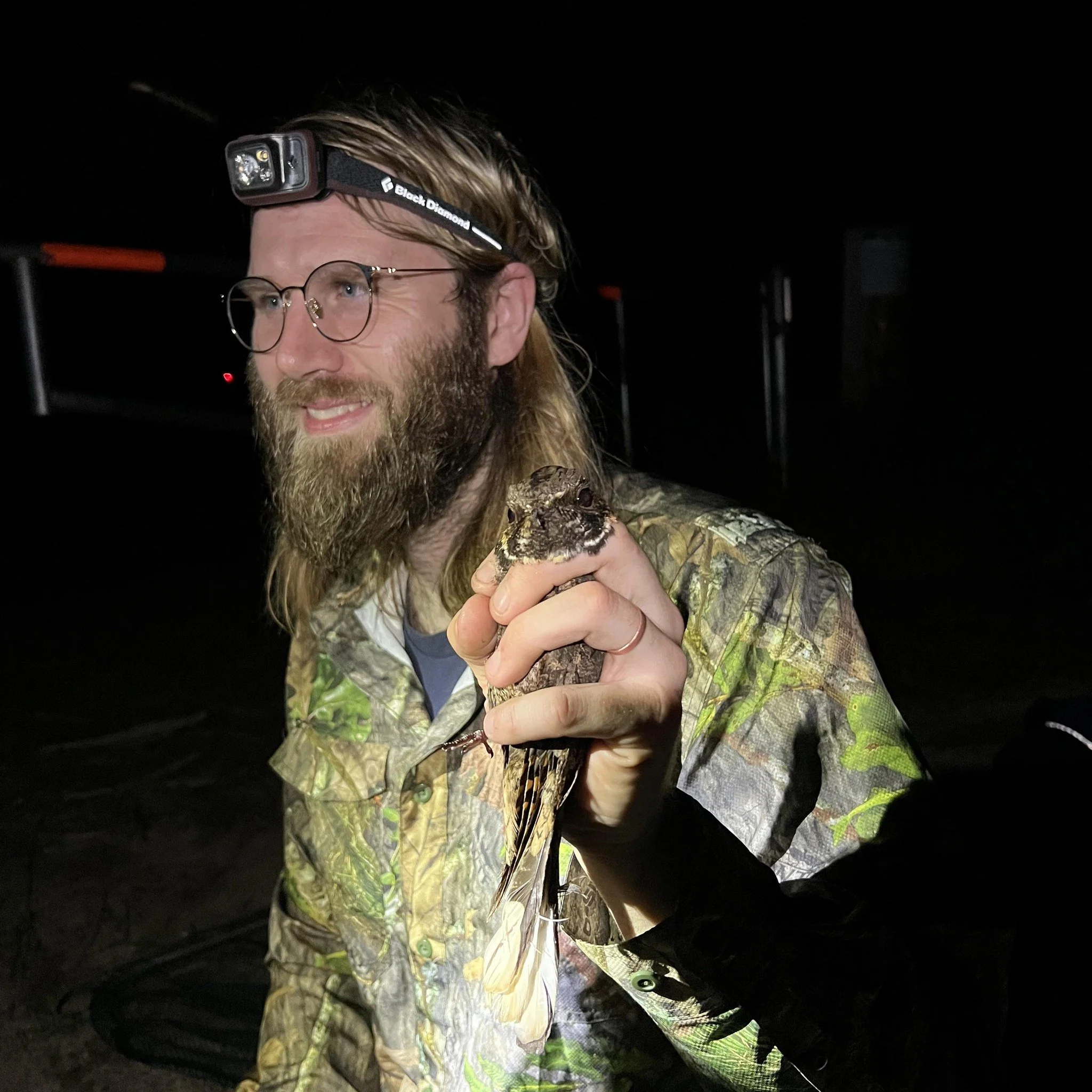 MES Webinar Series: Maine's Avian Aerial Insectivores by Logan Parker ...