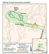 MES Field Day: Holman Conservation Area, Litchfield, ME — Maine ...