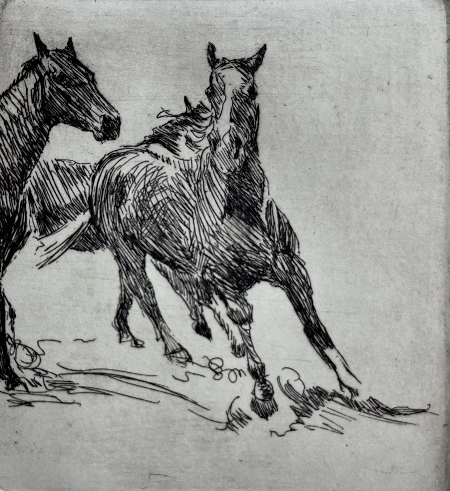 Shop — Chessney Sevier Fine Art