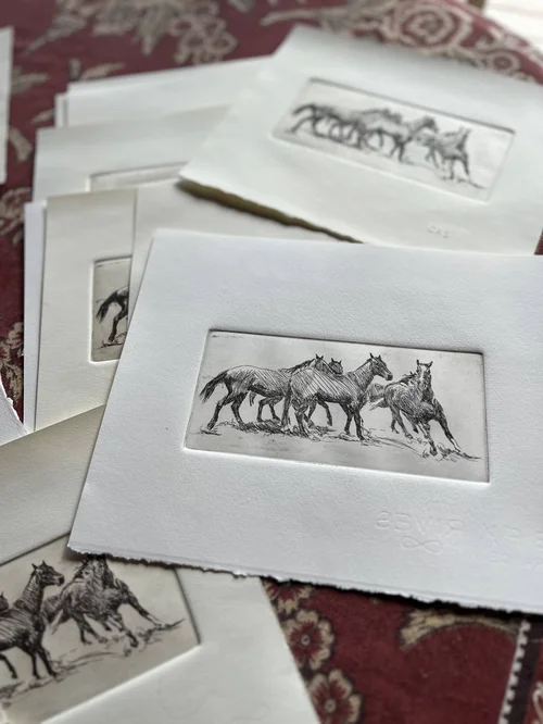 Shop — Chessney Sevier Fine Art