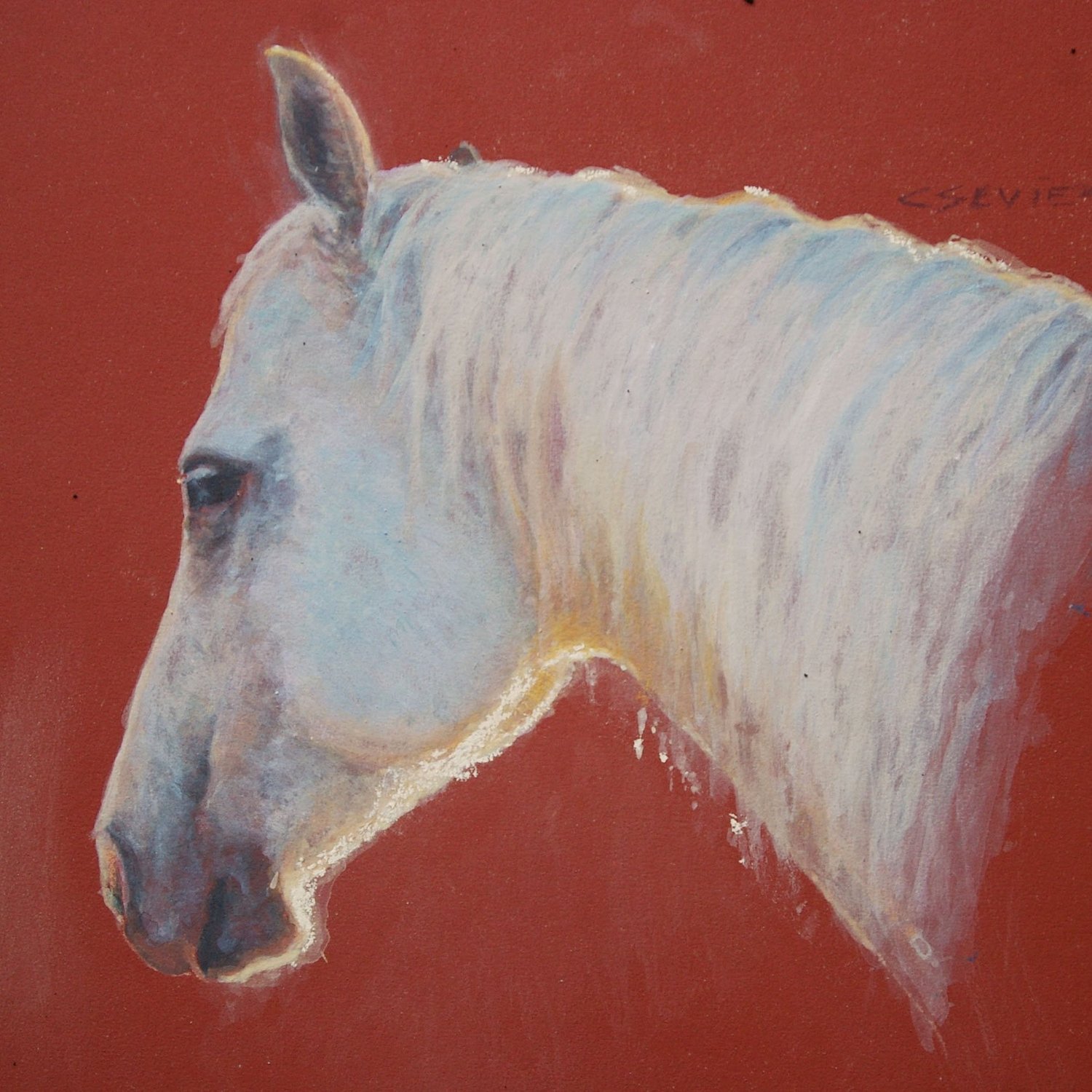 Shop — Chessney Sevier Fine Art