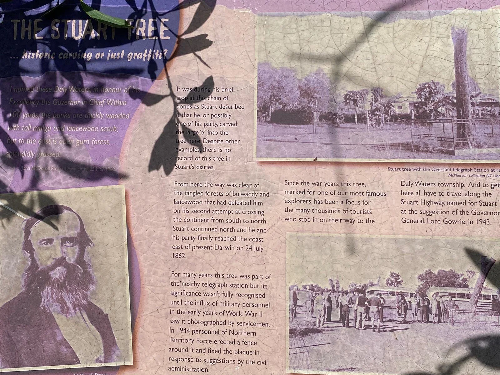 Daly Waters History; Stuart's Tree — ABOUT North