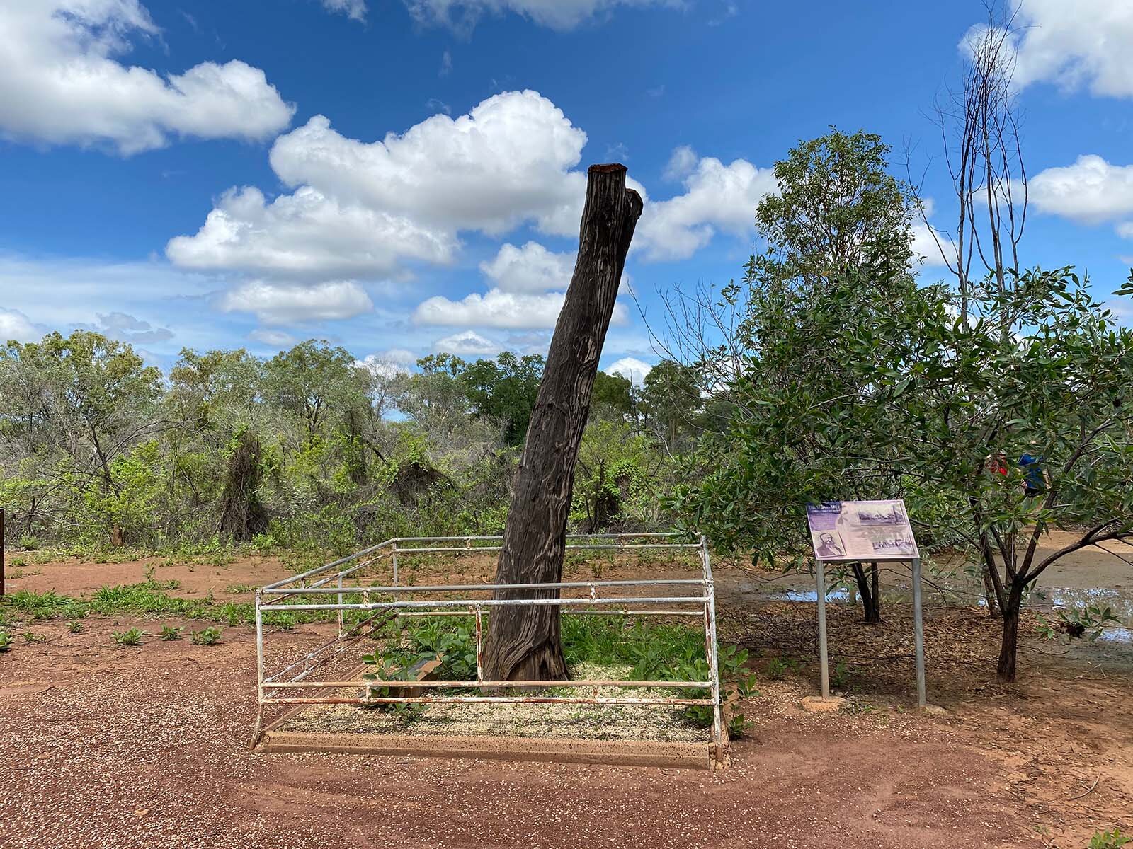 Daly Waters History; Stuart's Tree — ABOUT North