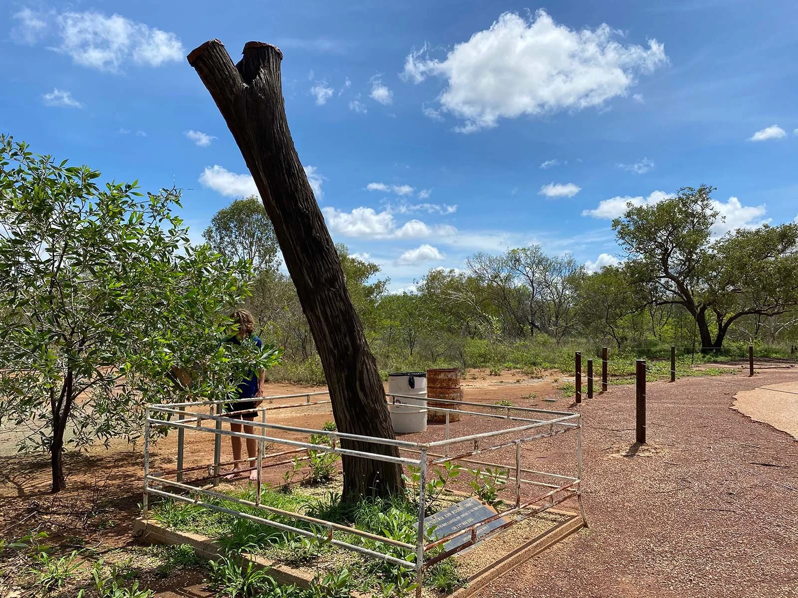 Explore All — ABOUT North