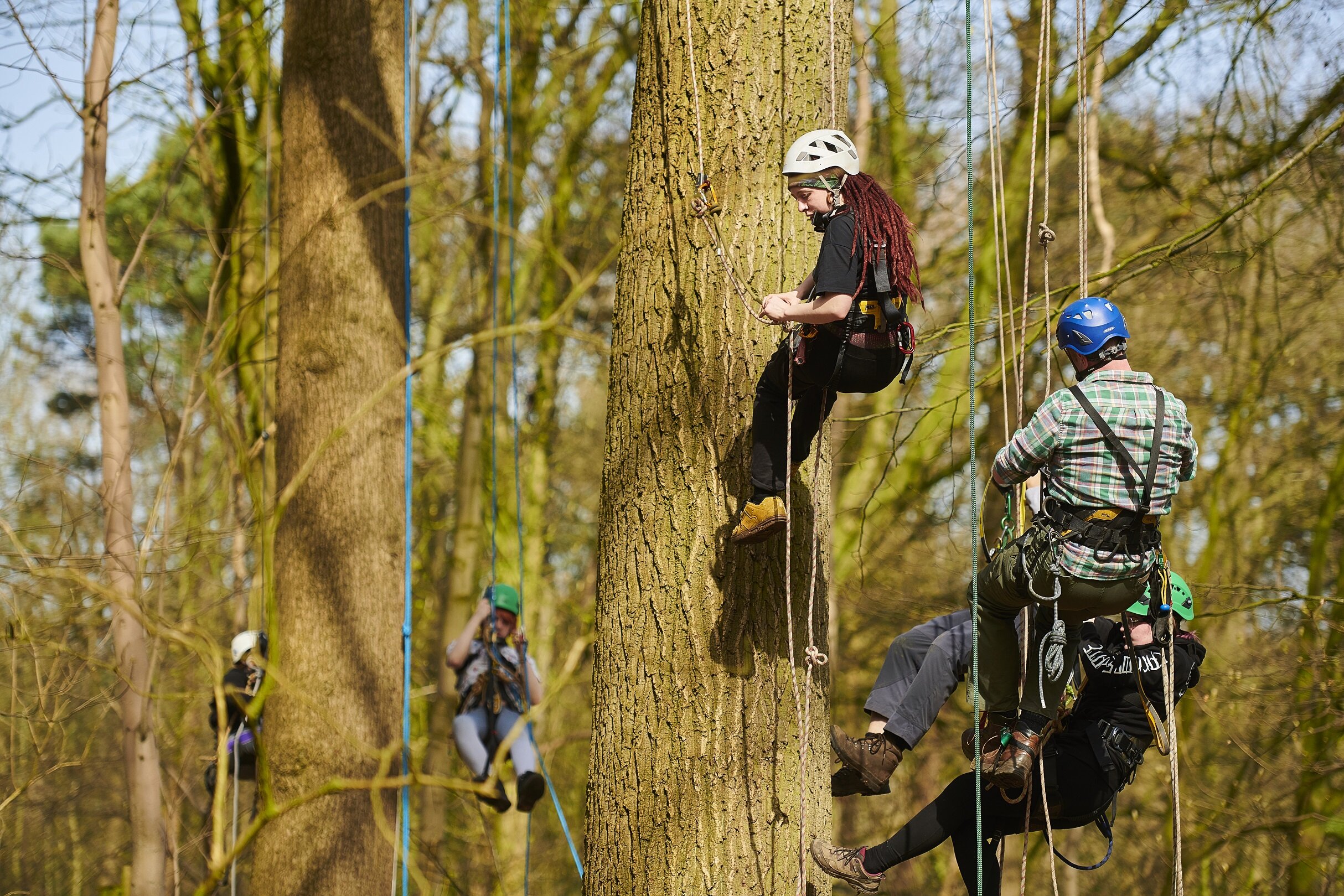 BCAP awarded LANTRA approval! — Welcome to Canopy Access - home of all ...