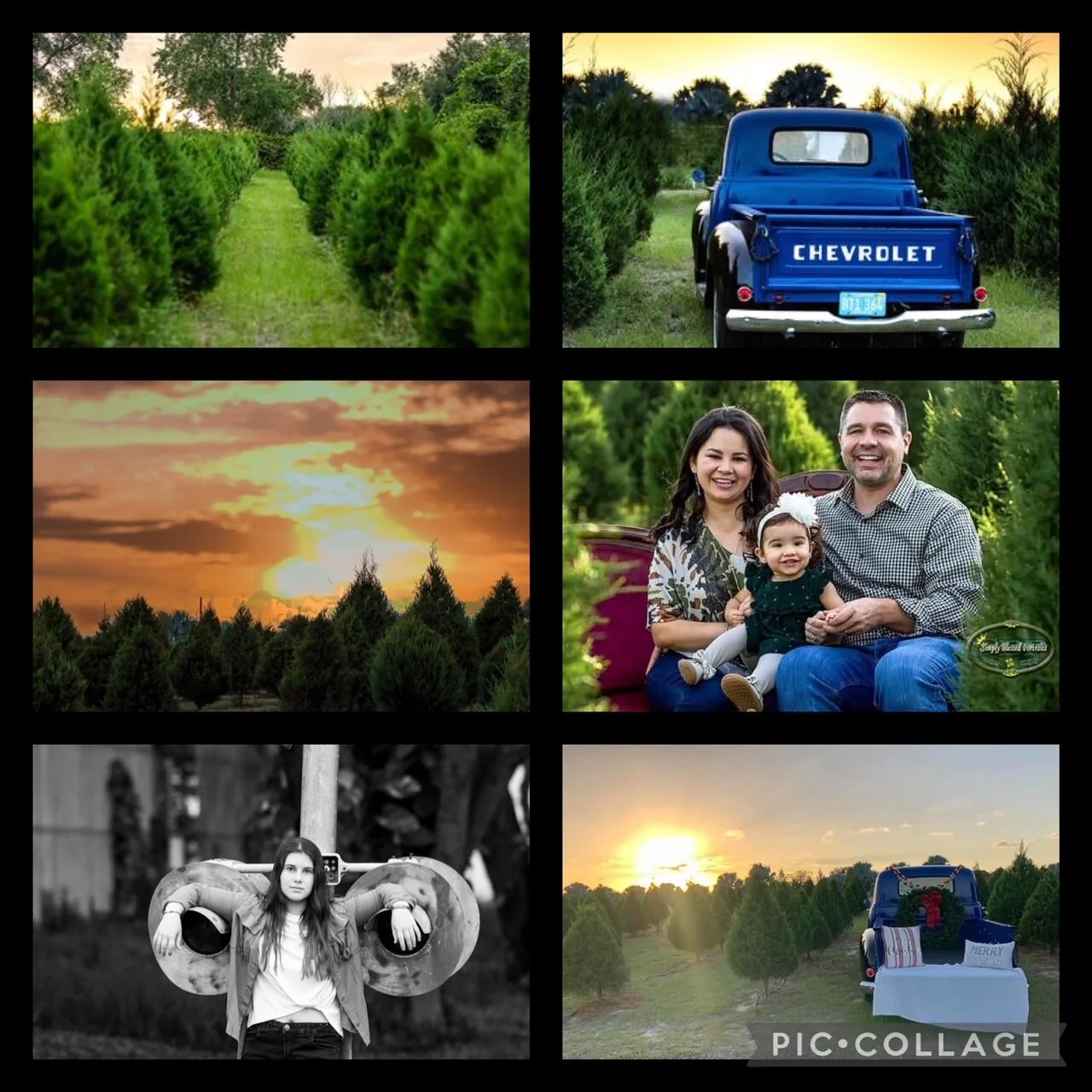 Misty Mountain Christmas Tree Farm | Photo Venue — Misty Mountain ...