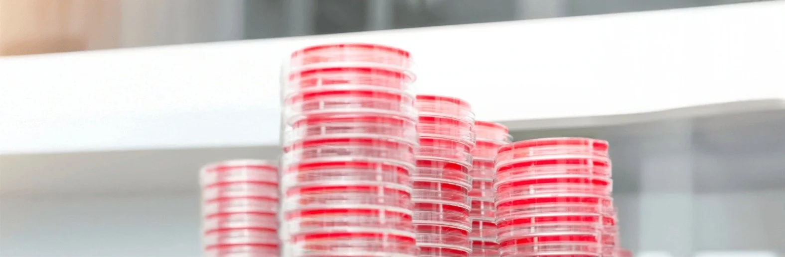 Home | Explore Quality Labware — OMARK Lifesciences I Disposable ...