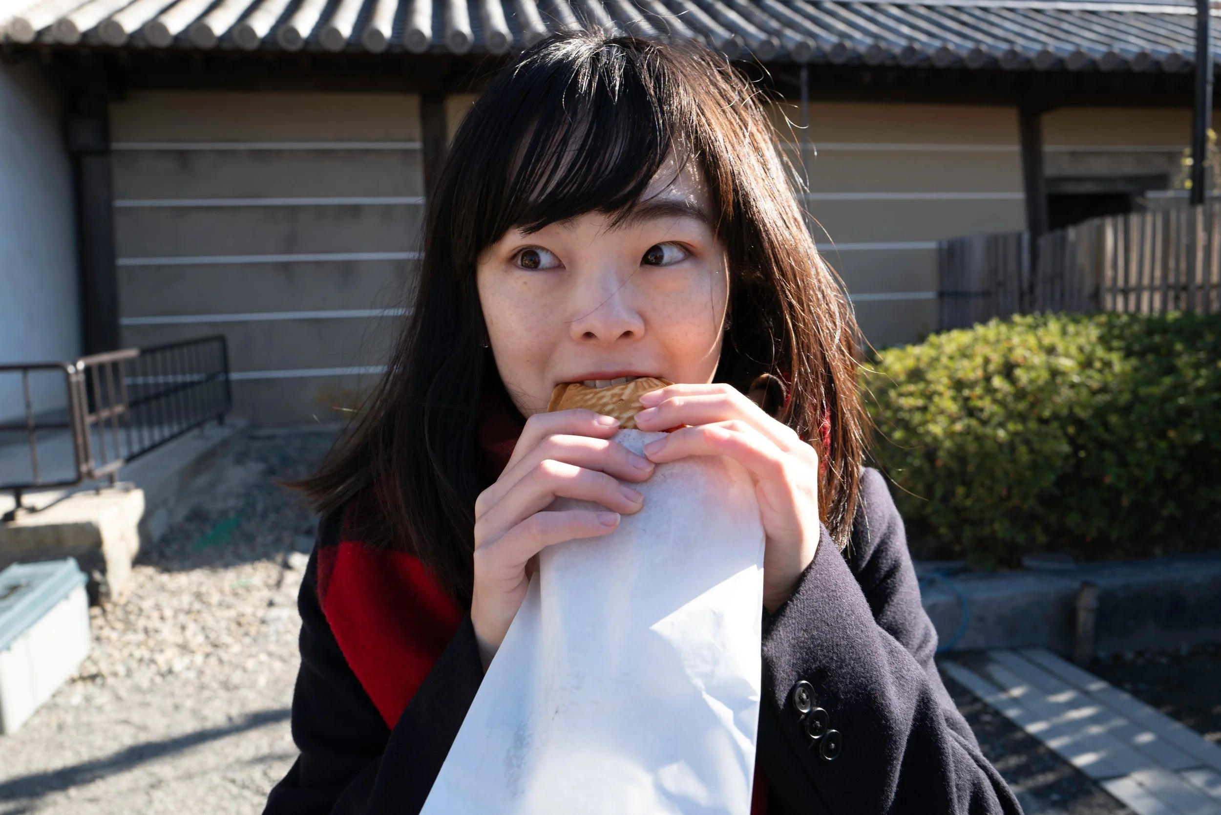 Tayaki Discover And Enjoy Taiyaki Delights GIORGIO PROFILI
