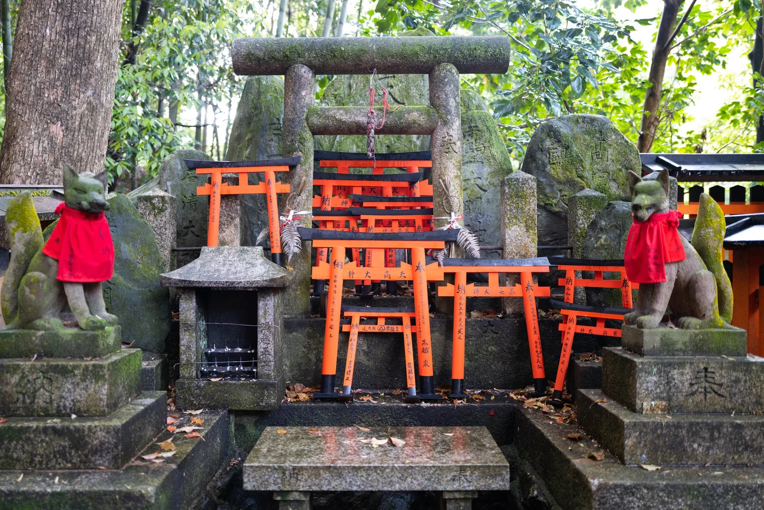 Fushimi Inari - Kyoto | Discover Kyoto's Fushimi Inari - Visit Now ...