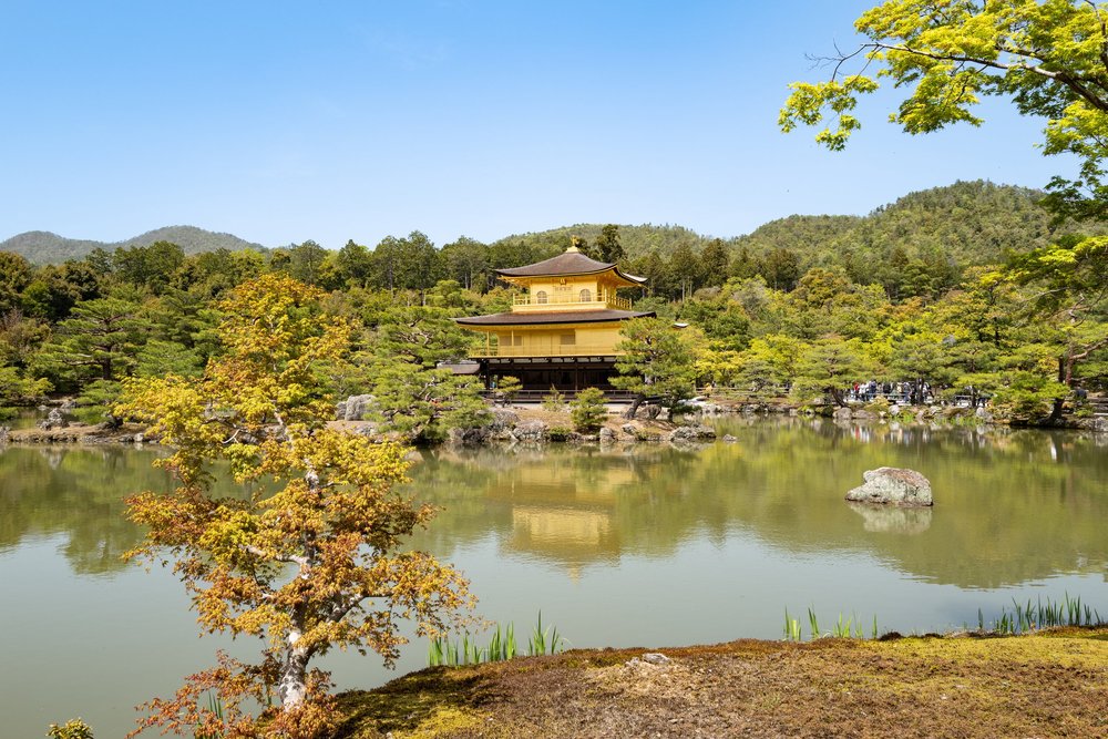 Kinkaku-Ji - Golden Pavilion - Kyoto | Discover Kyoto's Golden Landmark ...