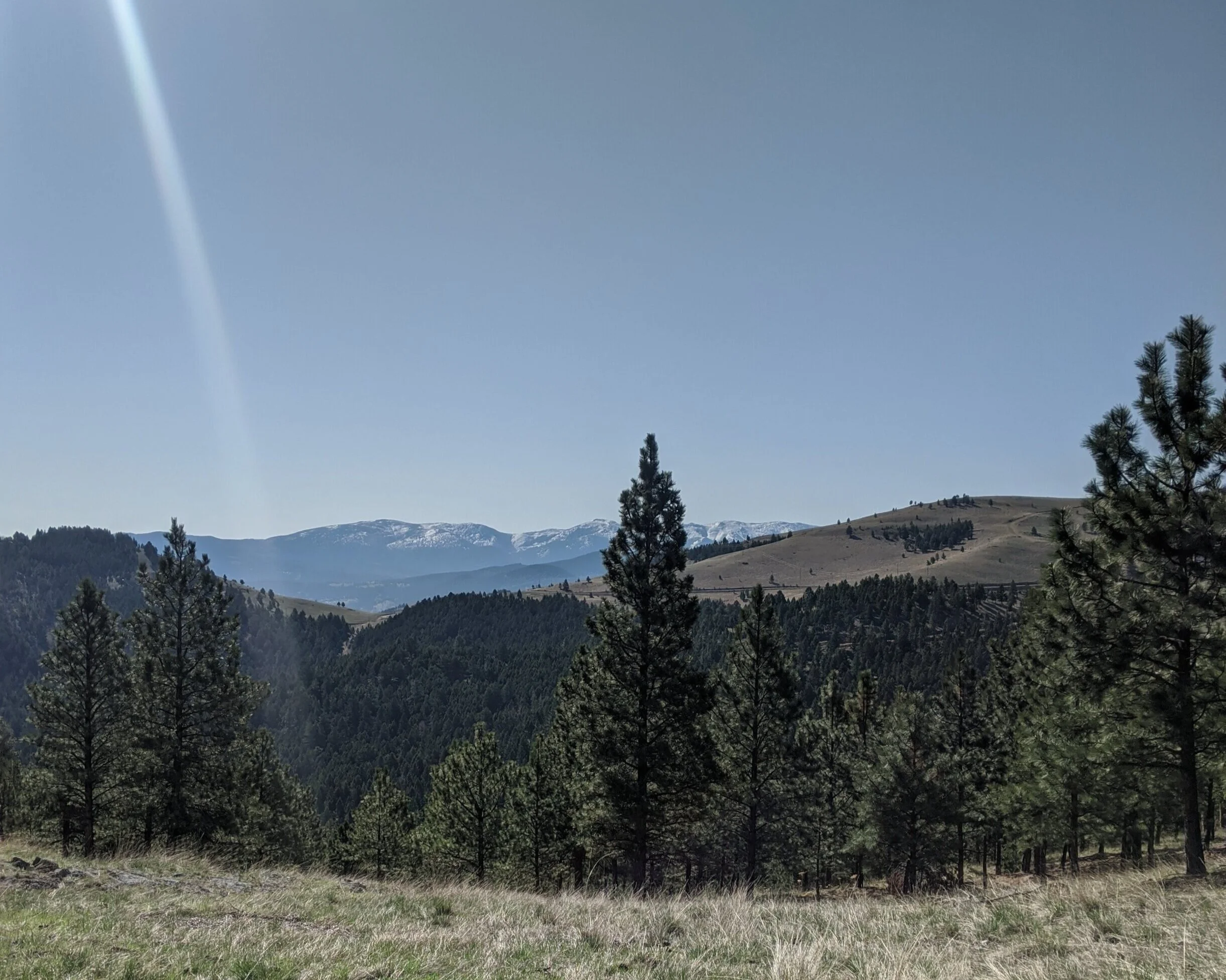 Law Office of Morgan Handy, PLLC