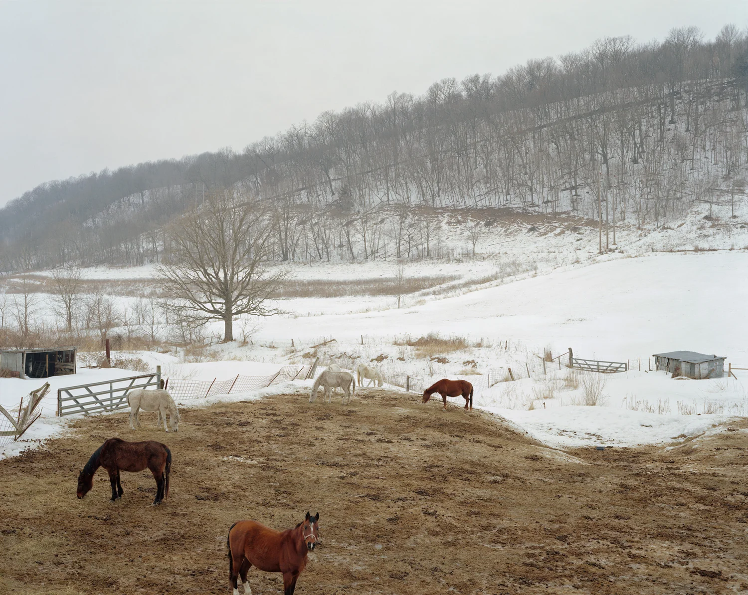 On Wisconsin — Mark Brautigam