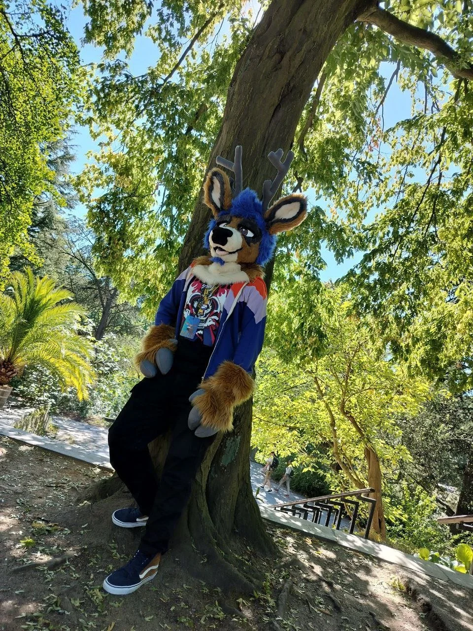 Gallery — Pinu.store