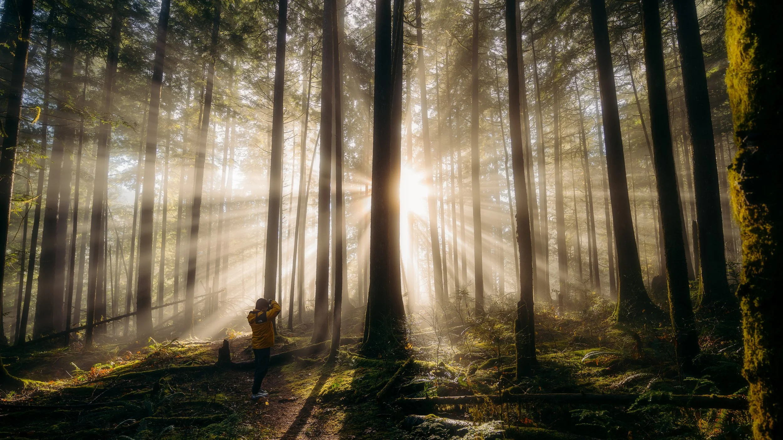 Tobiah Lui | Photography & Filmmaking Services
