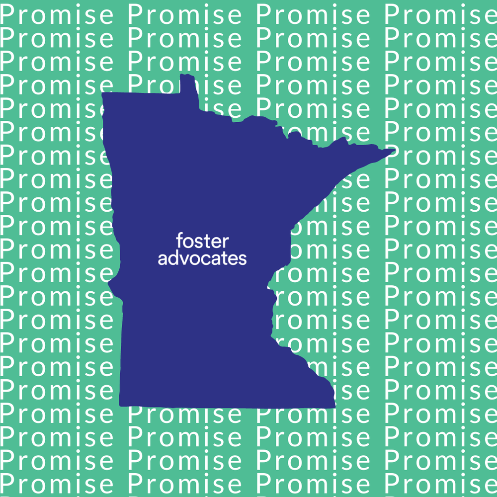 Minnesota Promise — Foster Advocates