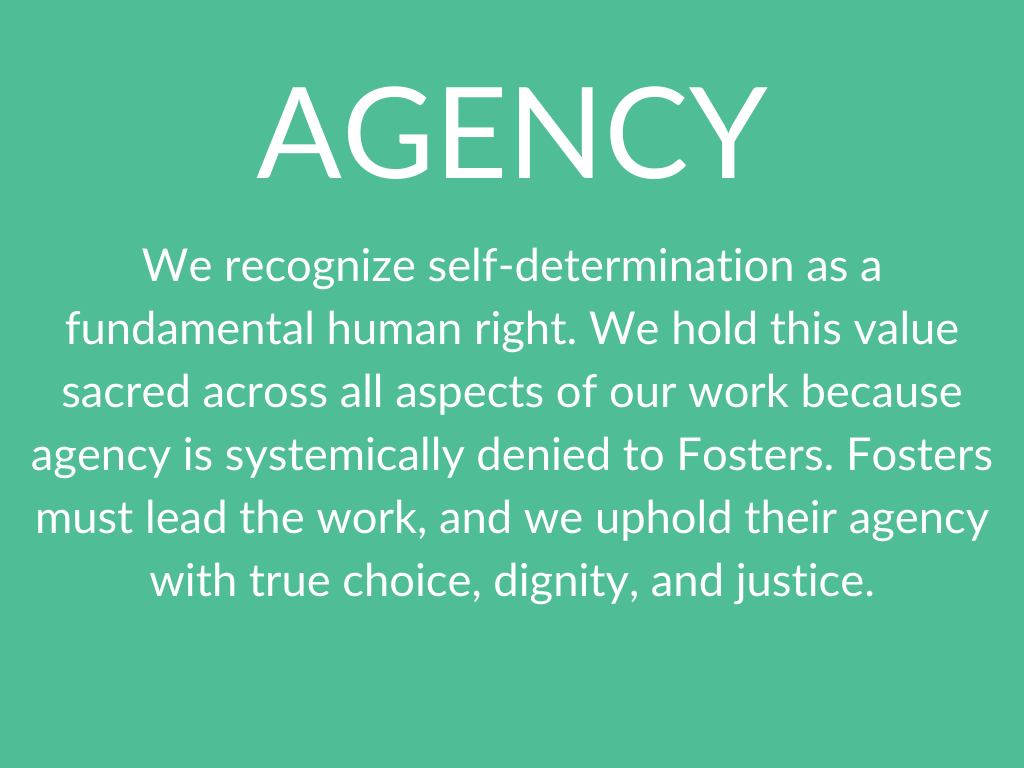 Our Approach — Foster Advocates