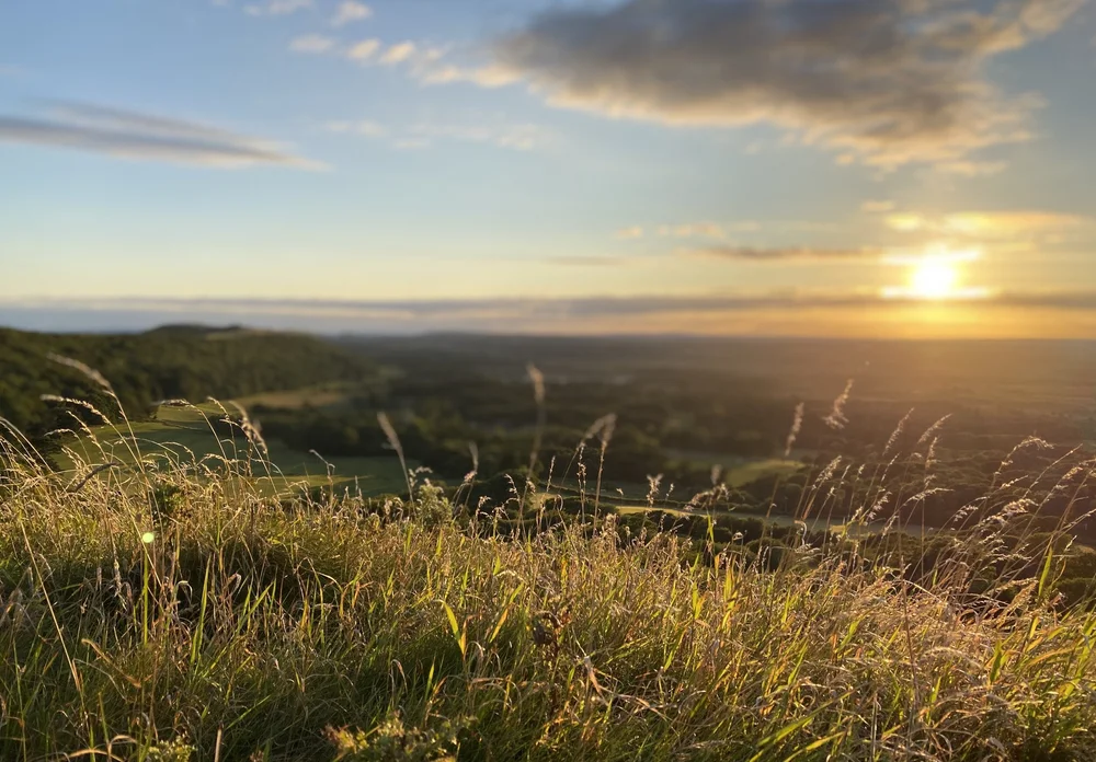 Menstrual Cycle Awareness 101 — Life, Aligned