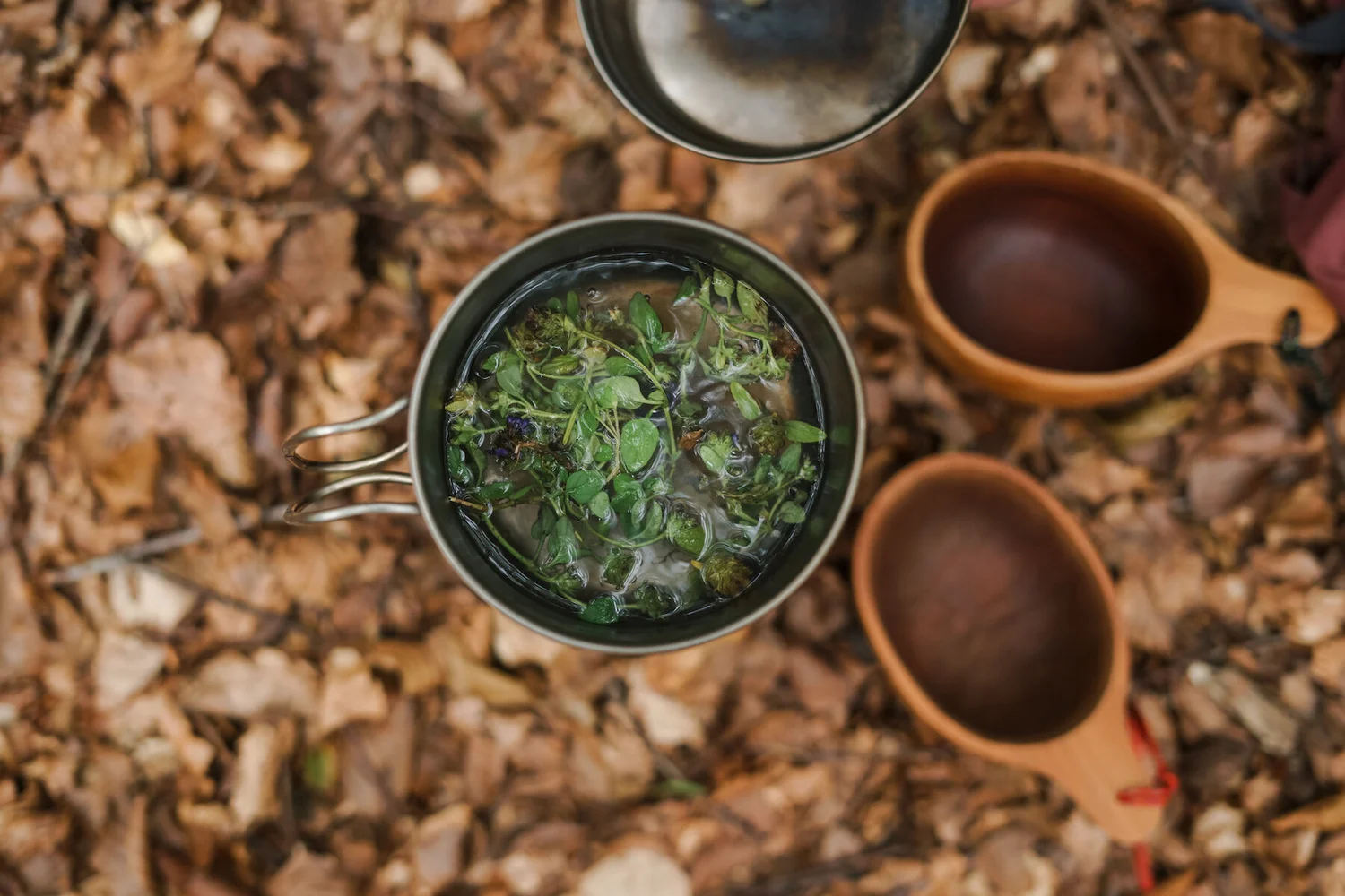 Summer Recipes: Wild Flower Tea — Life, Aligned