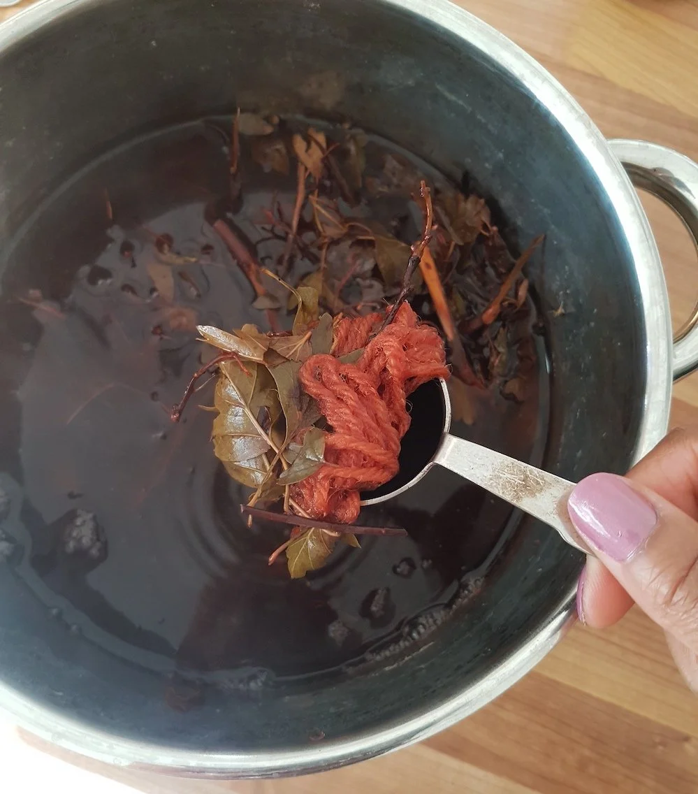 How to Start Botanical Dyeing at Home this Autumn with Leya Williams ...
