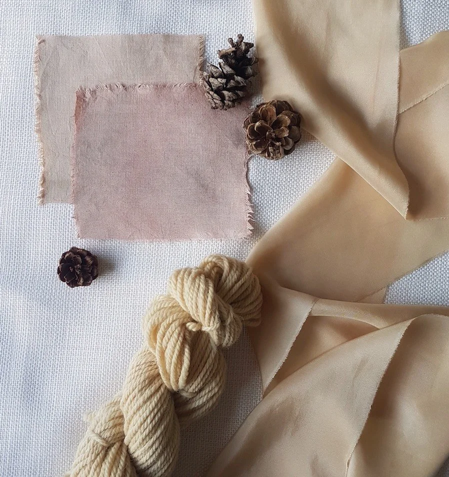 How to Start Botanical Dyeing at Home this Autumn with Leya Williams ...