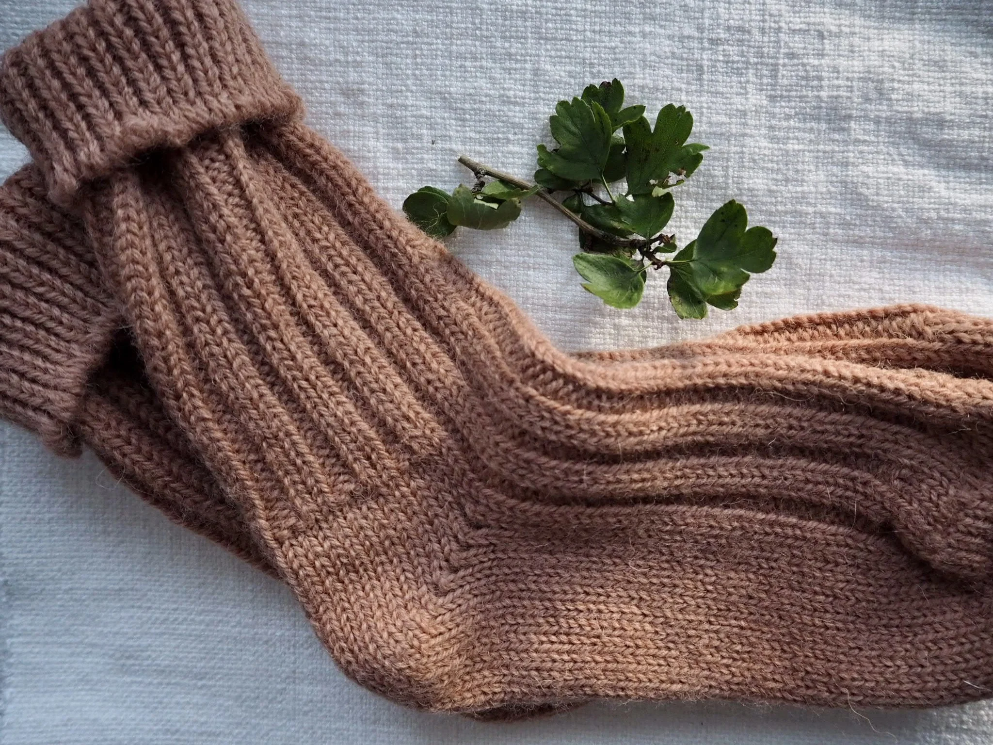 How to Start Botanical Dyeing at Home this Autumn with Leya Williams — Life, Aligned