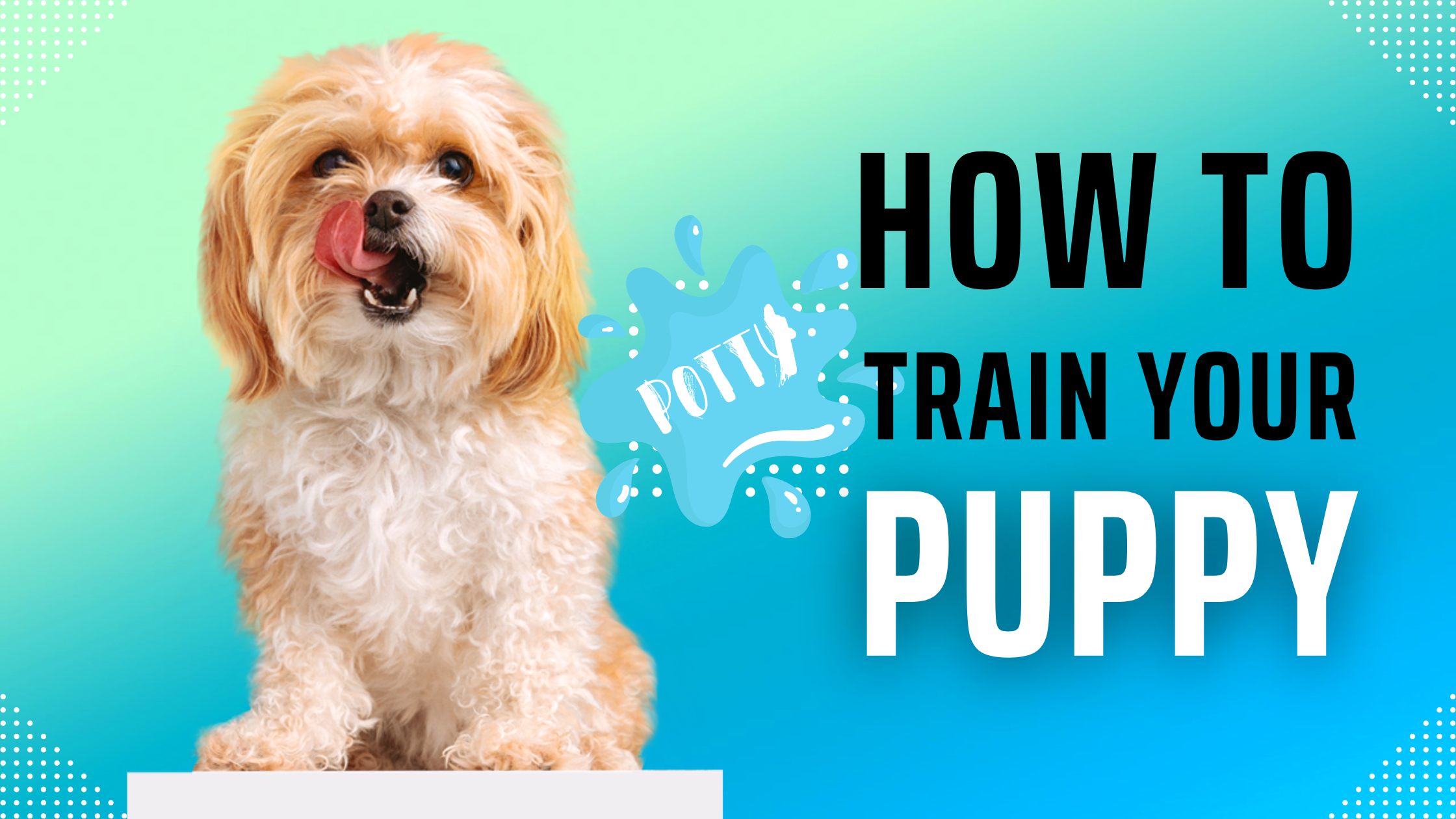 Mastering Puppy Potty Training: Your Comprehensive Guide to a Mess-Free ...