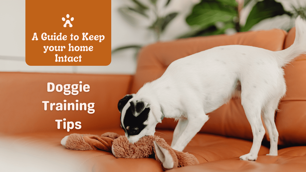 Canine Harmony: Proven Strategies to Prevent Dog Destructive Behavior — Jazz's Wonderland