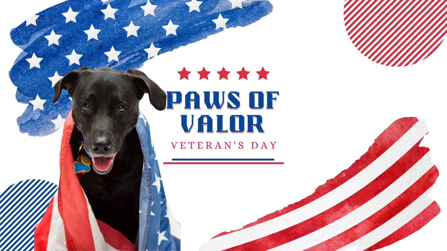 Paws of Valor: Dogs as Unwavering Companions on Veteran's Day and ...